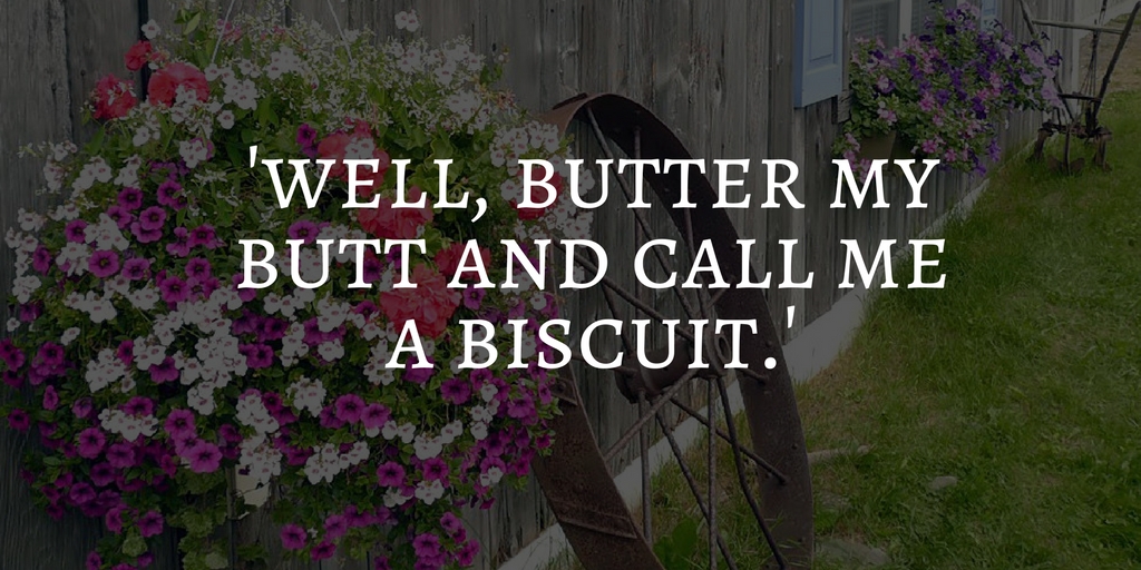 Every southern phrase you’ll ever need – KellyKazek.com