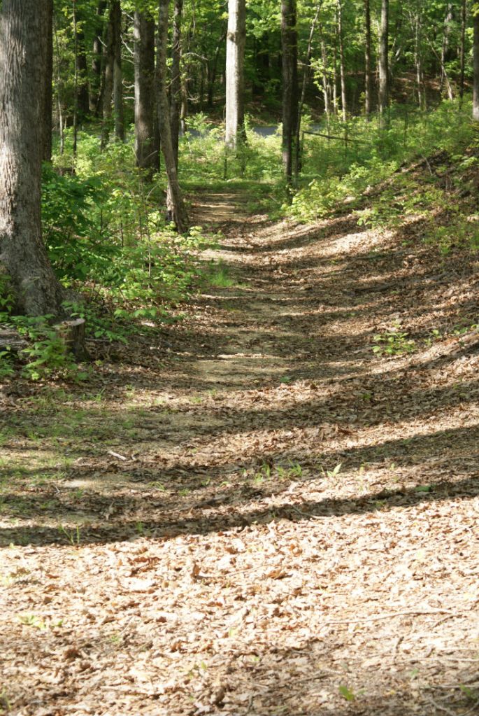 The Harpe brothers: America’s first serial killers – KellyKazek.com