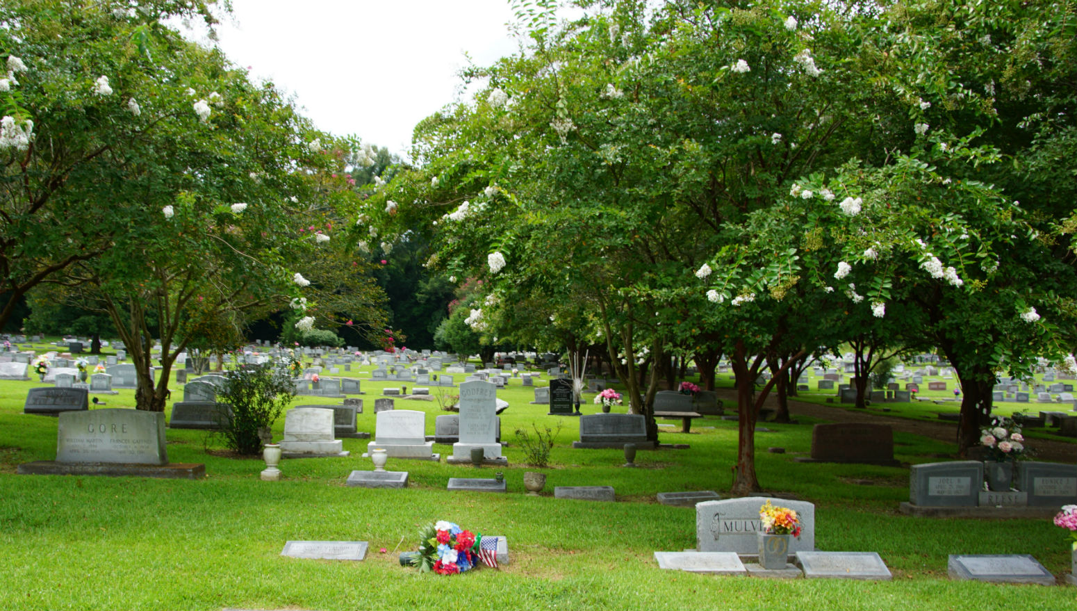 The mystery and beauty of Mississippi’s Natchez City Cemetery ...