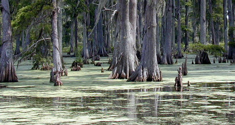 The Legend of Booger Swamp – KellyKazek.com