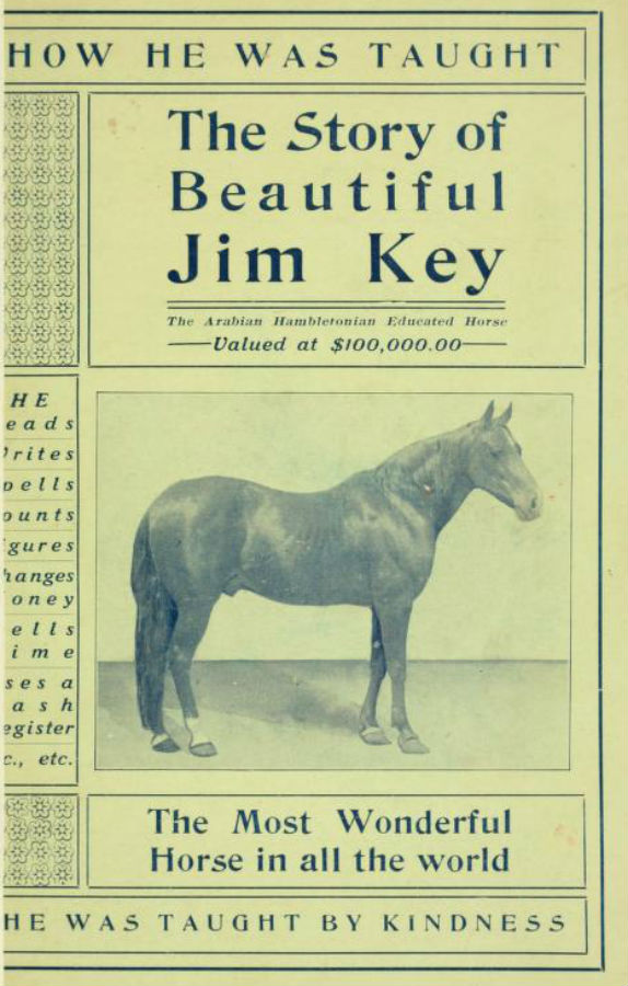 The story of Beautiful Jim Key, the horse that could read and do math ...