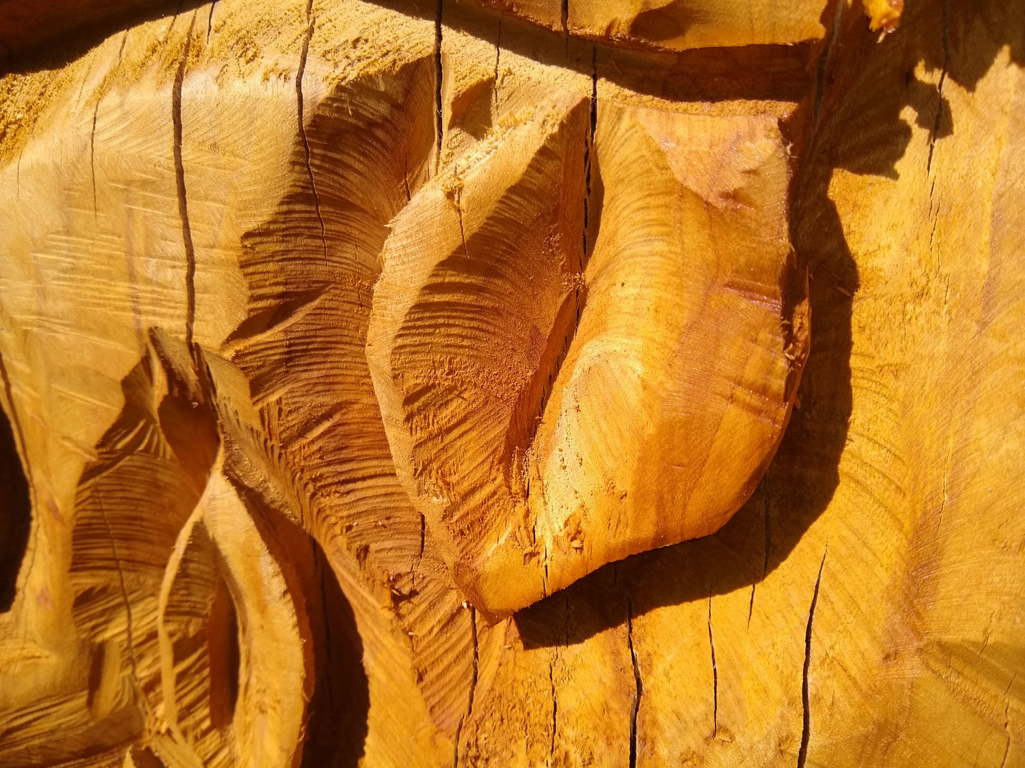 We found this incredible carved tree in historic Maple Hill Cemetery ...