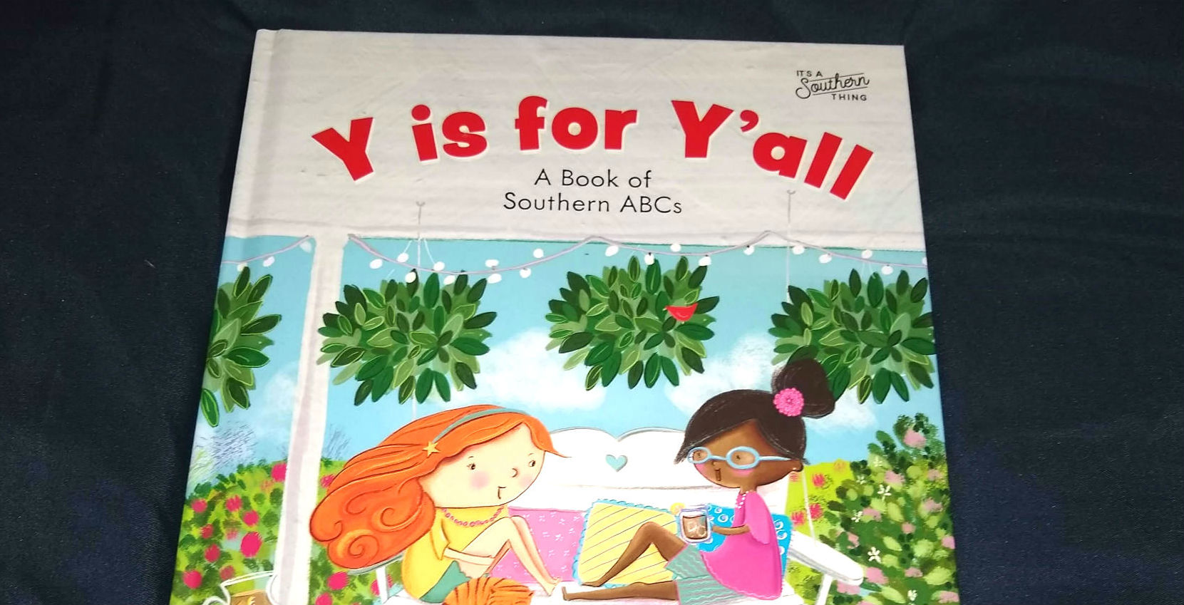 Y’all will just melt over this ‘Y is for Y’all’ book. So adorable ...