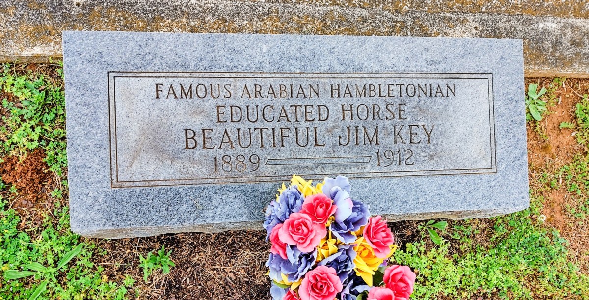 We paid respects at the grave of the famed educated horse, Beautiful ...